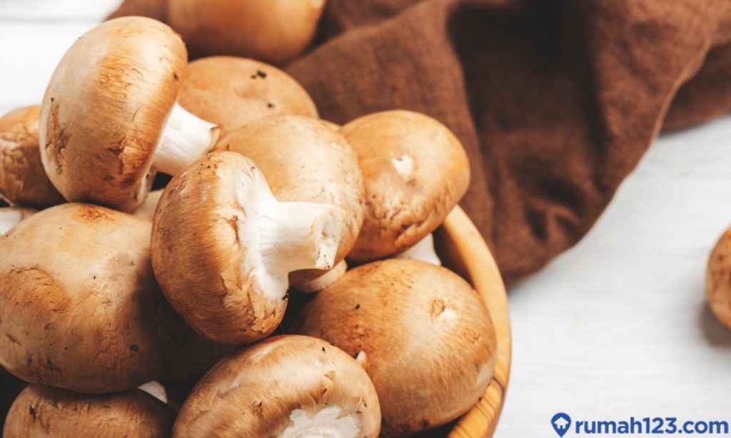 5 Cara Menyimpan Jamur Kancing agar Awet dan Tidak Menghitam