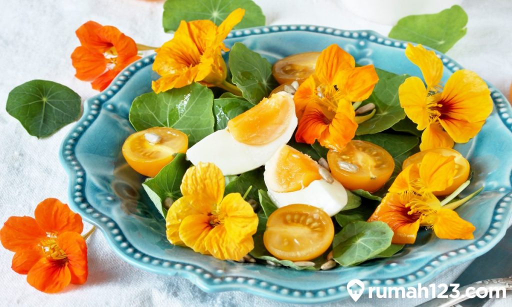 7 Jenis Bunga yang Bisa Dimakan di Indonesia. Aman Dikonsumsi!