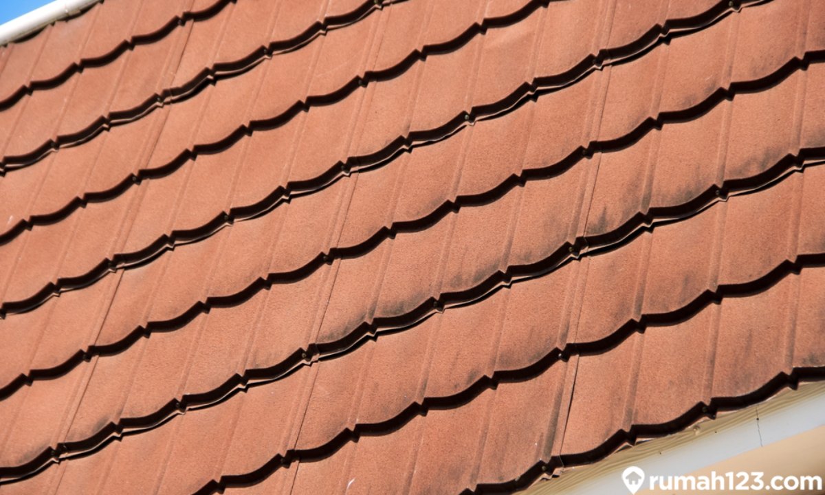 Ukuran Spandek, Jenis, dan Daftar Harga Terbaru 2023