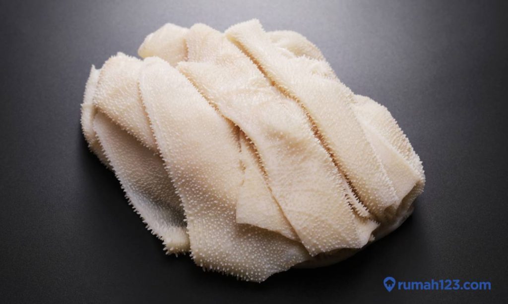 Cara Membersihkan Babat Sapi agar Tidak Bau. Efektif!