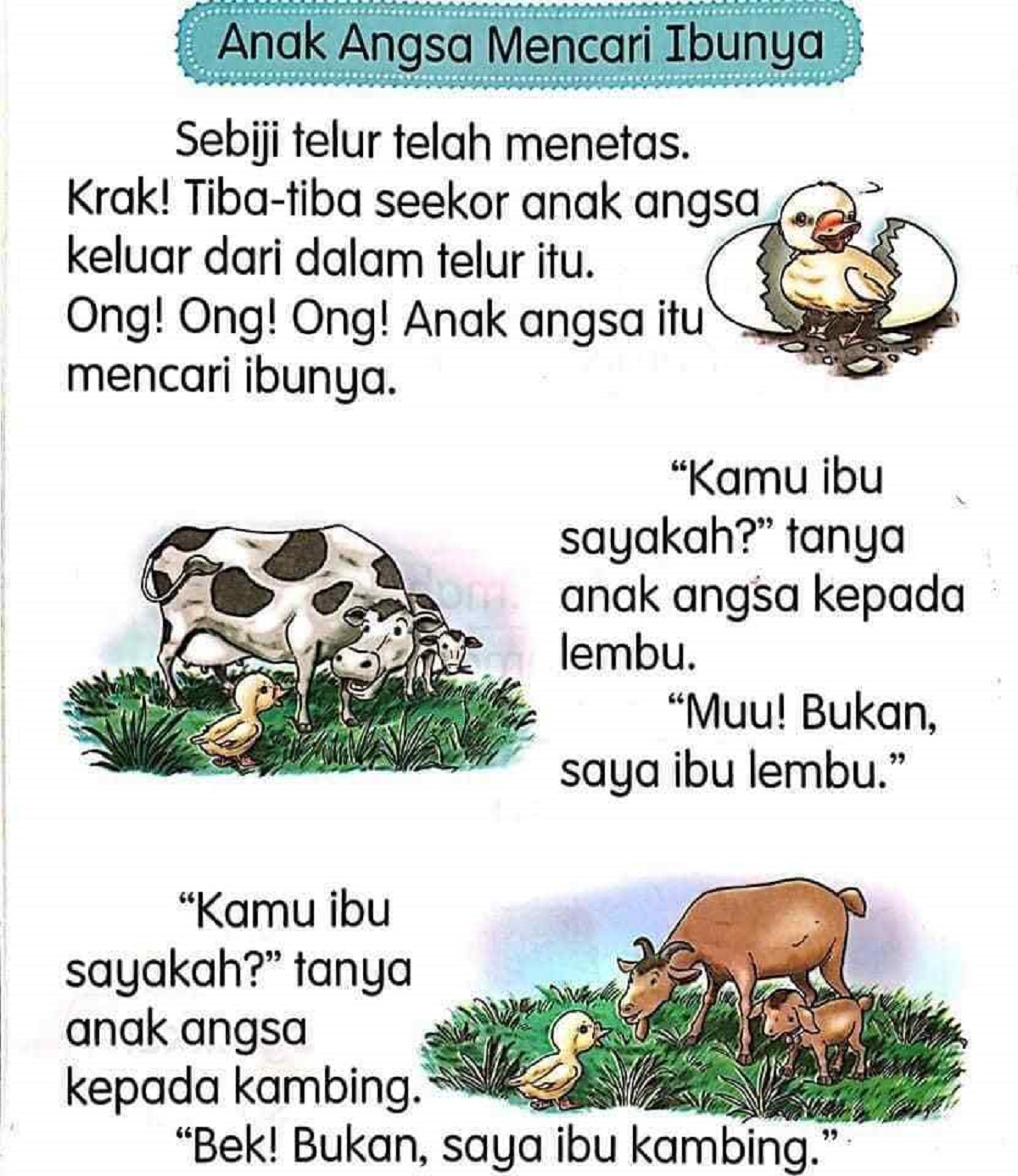 20 Contoh Cerpen Singkat Terlengkap Berbagai Tema